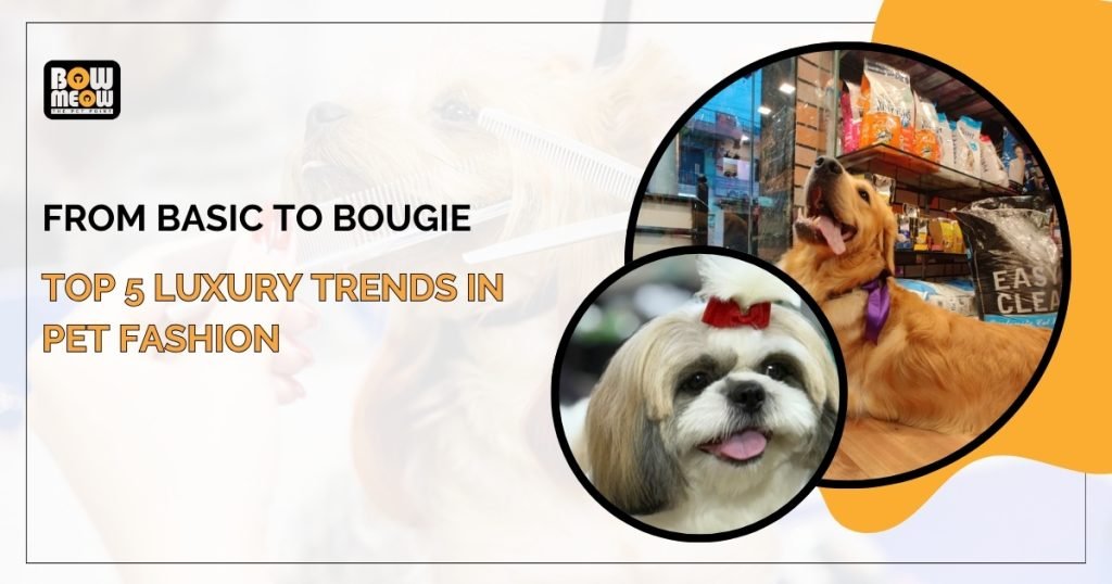Luxury Pet Clothes in Bengaluru | Buy Best Dog Clothes Online